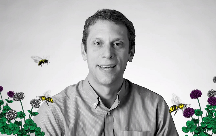 What's the Buzz about Pollinators? | Cornell Atkinson Center for ...