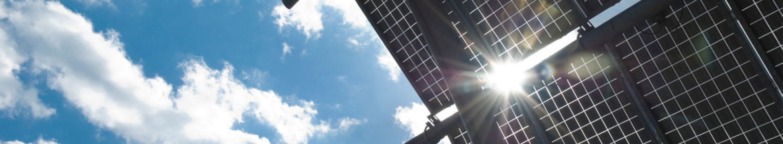 Partners | Cornell Atkinson Center for Sustainability