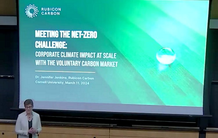 Meeting the Net-zero Challenge: Corporate Climate Impact at Scale With the Voluntary Carbon ...