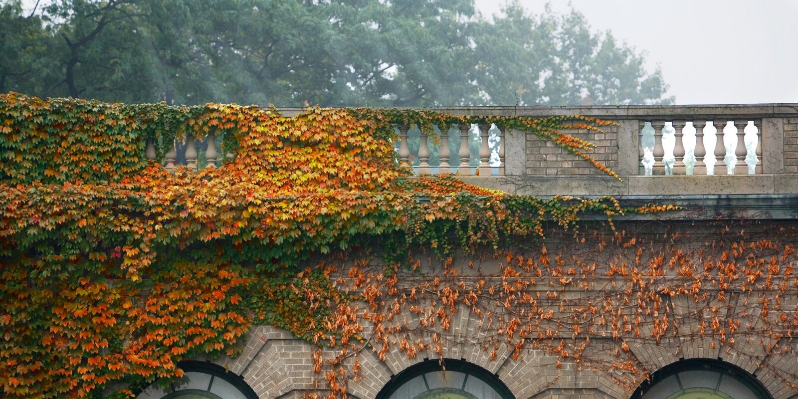 Cornell Atkinson Center for Sustainability