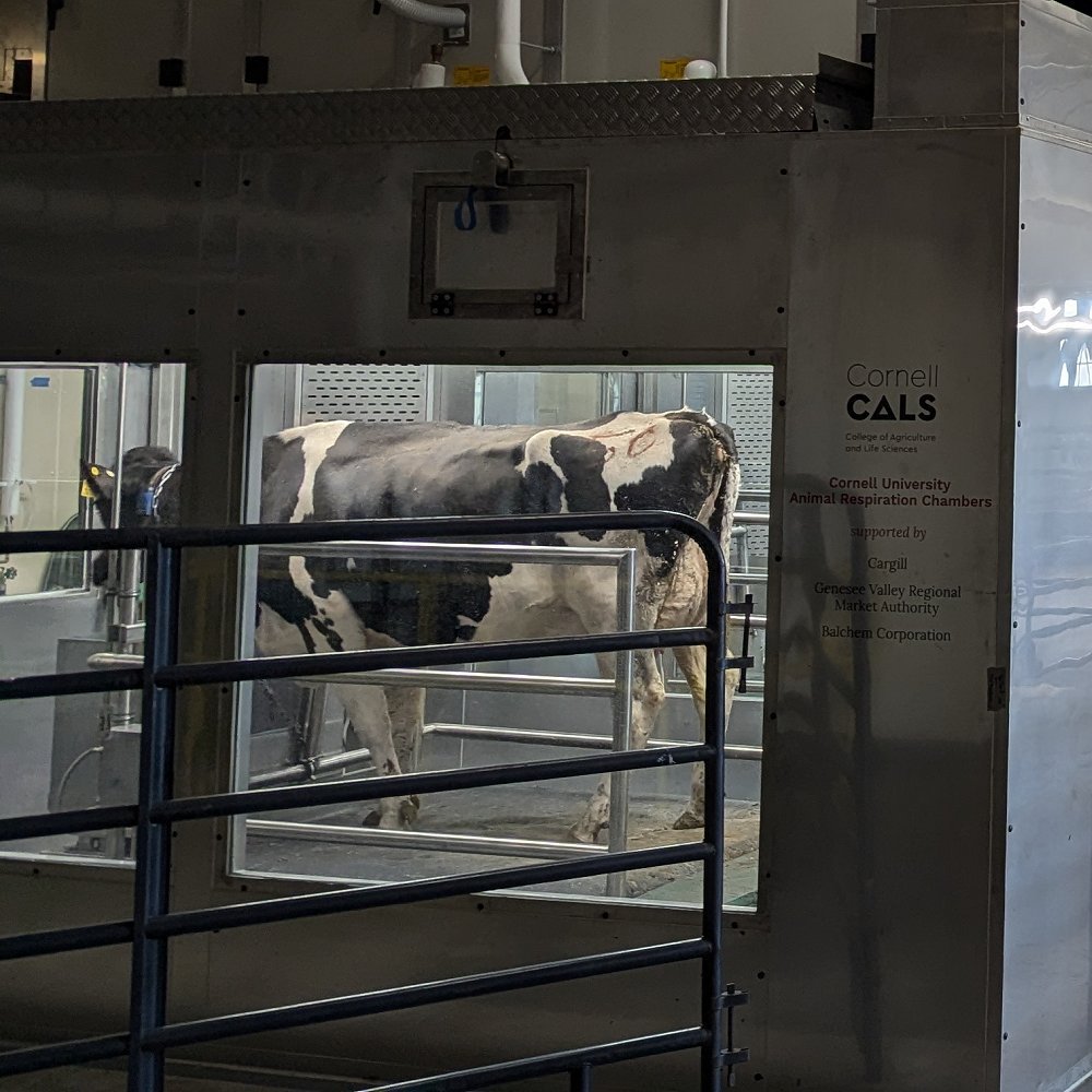 Home | Cornell Atkinson Center for Sustainability