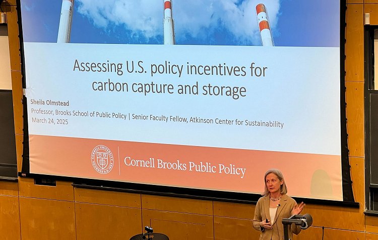 Assessing U.S. Policy Incentives for Carbon Capture and Storage ...