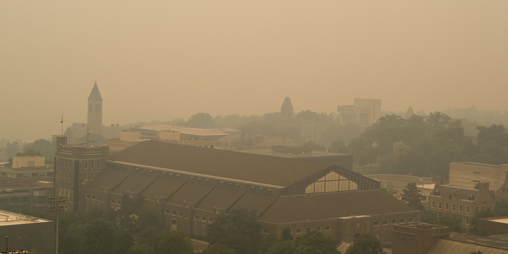 Rapid Response Fund (RRF) - Submission Process | Cornell Atkinson ...